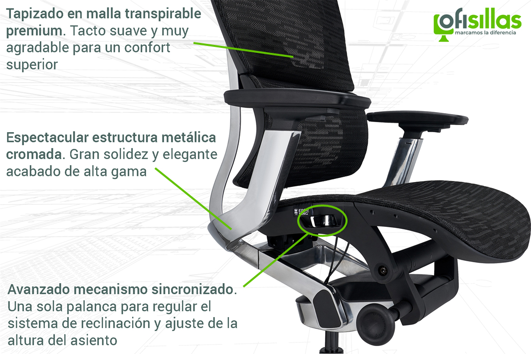 Silla Ergonómica ERGOPLUS, Reposacabezas, Estructura Metal, Negro ...